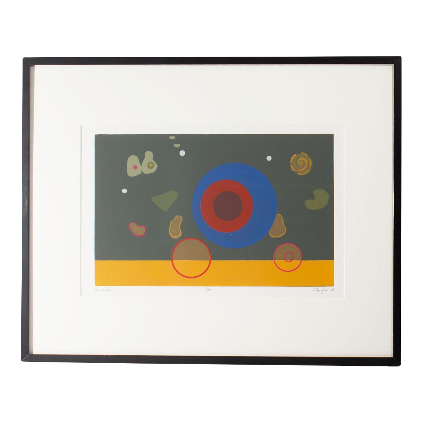 1975 “Amoeba” Serigraph Print by Thelma Confer | Chairish