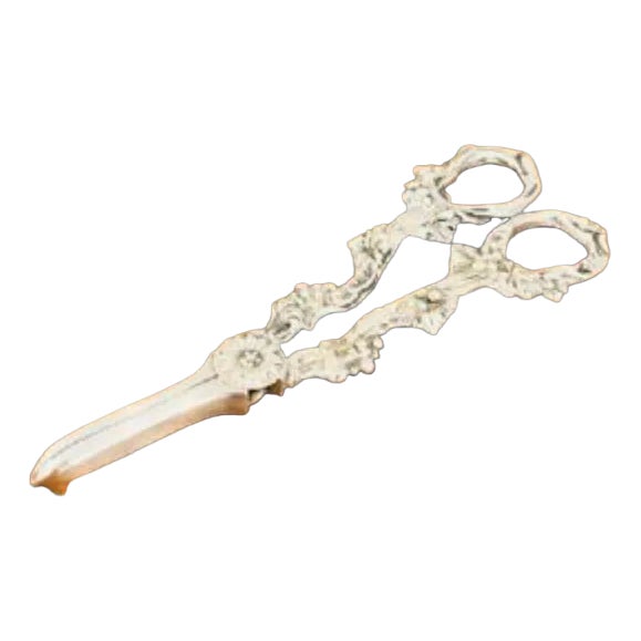 Edwardian Silver Plated Grape Scissors, 1900s | Chairish