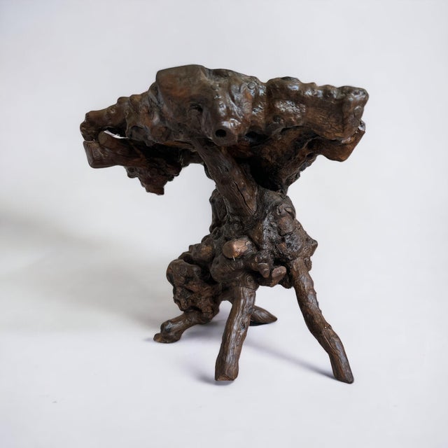 1980s Small Rustic Wooden Tree Root Side Table With Glass Top | Chairish
