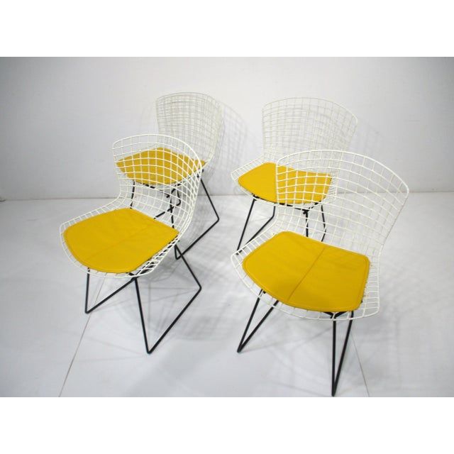 4 Knoll Wire Dining Chairs by Harry Bertoia | Chairish