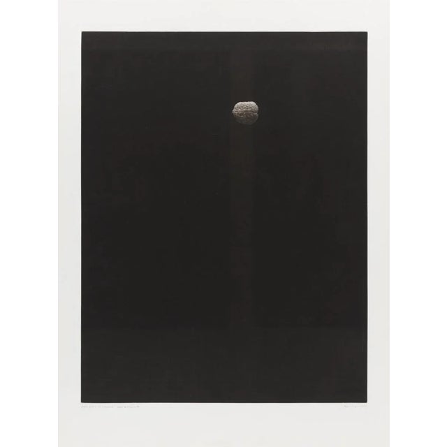 Walnut - Original Mezzotint by Yozo Hamaguchi - 1979 1979 | Chairish