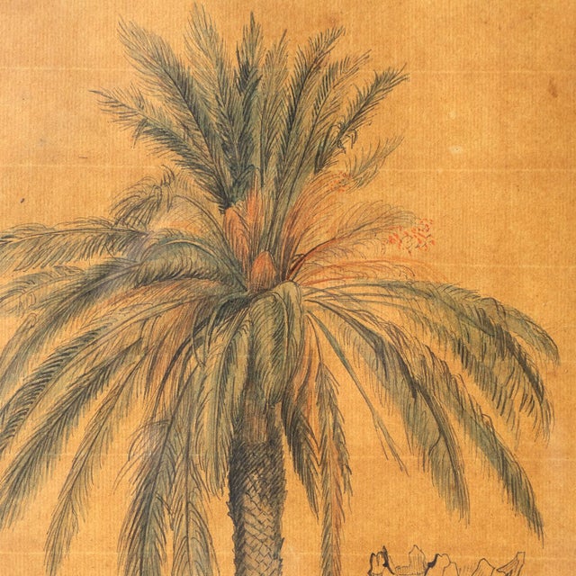 Ink and Watercolour Study of a Palm Tree by John Flaxman Ra, 18th ...
