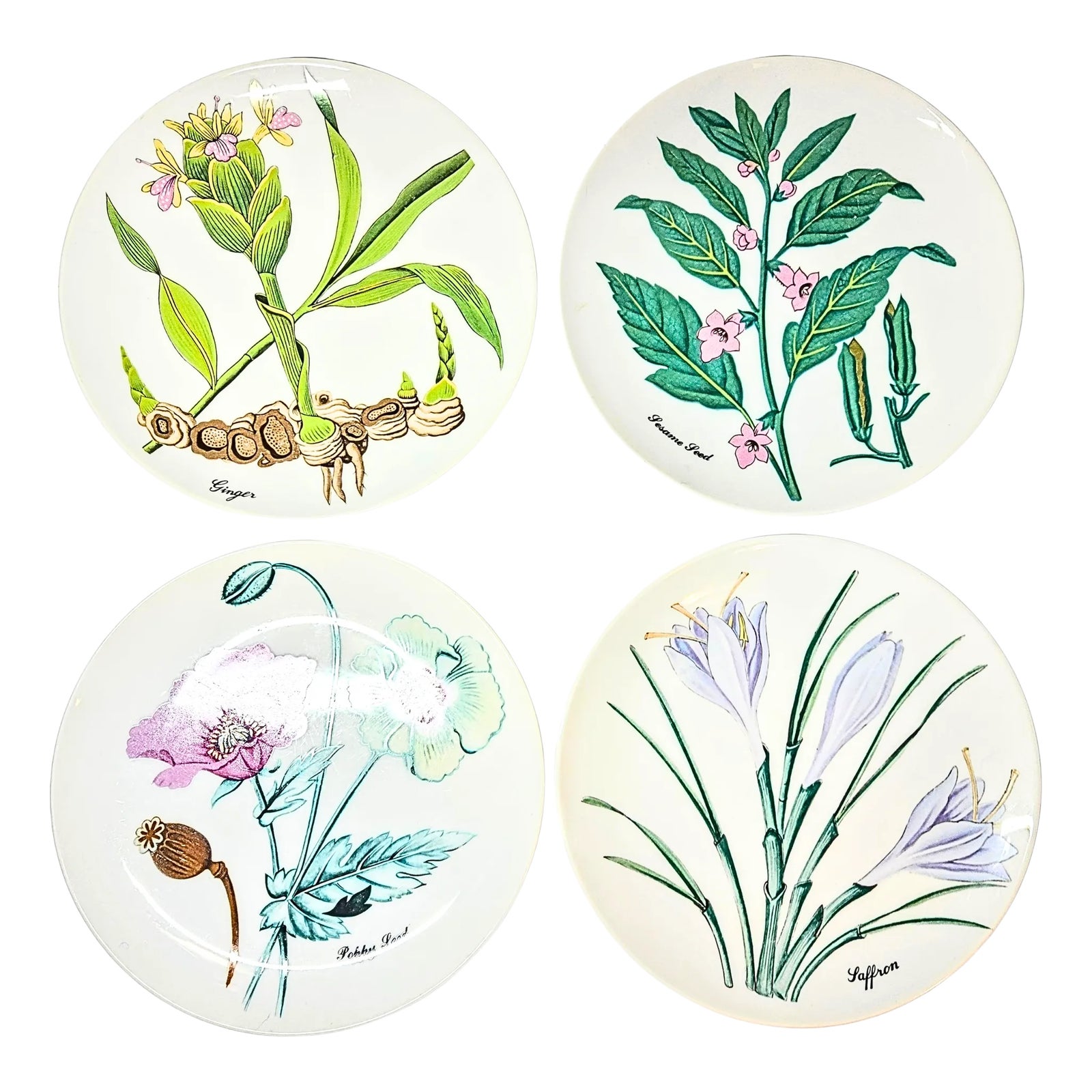 Asian Botanical Plates- Set of Four | Chairish