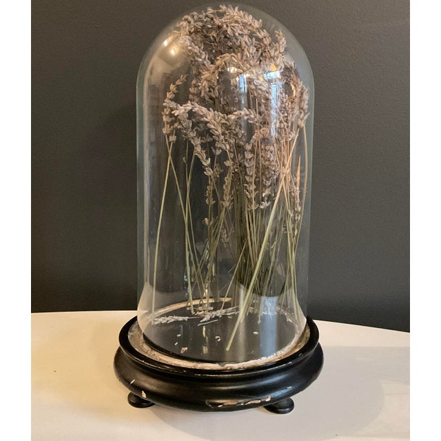 Antique Hand Blown Glass Cloche Dome on Grooved Base | Chairish