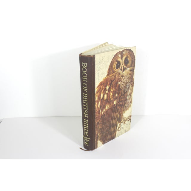1972 Coffee Table Book for Decorating Book of British Birds | Chairish