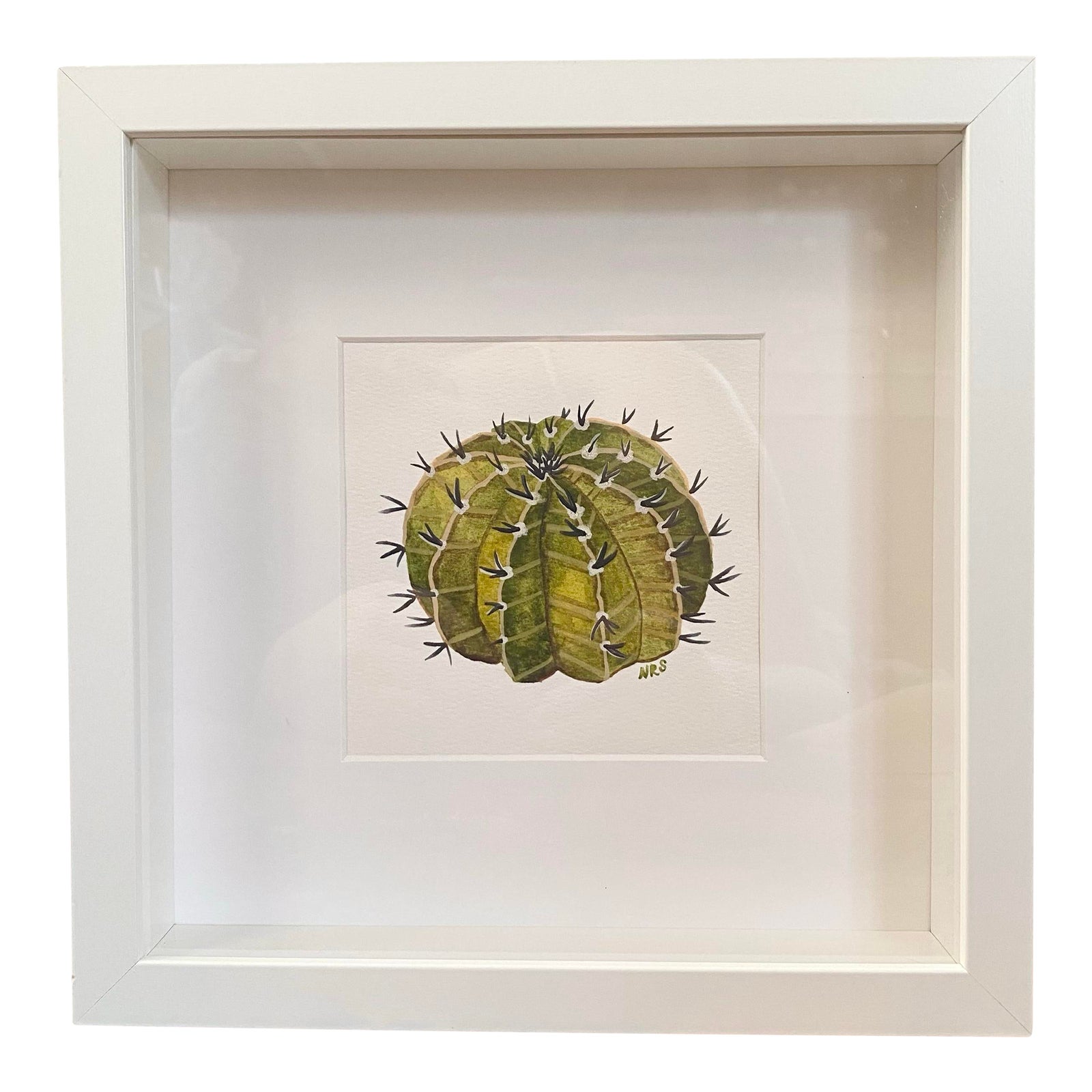 Original Framed Cactus Still Life Watercolor Painting | Chairish