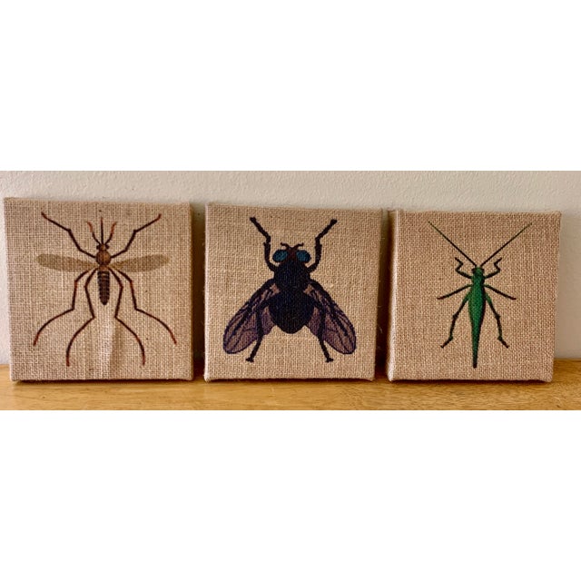 Set of Three Burlap Insect Bug Wall Decor | Chairish