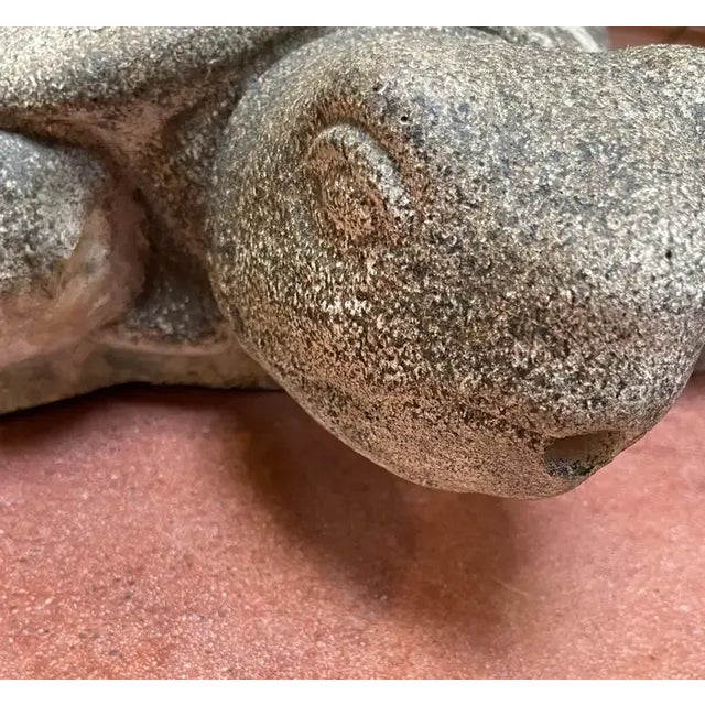 Vintage Cast Stone Life Size Model of a Sea Turtle/Fountain | Chairish