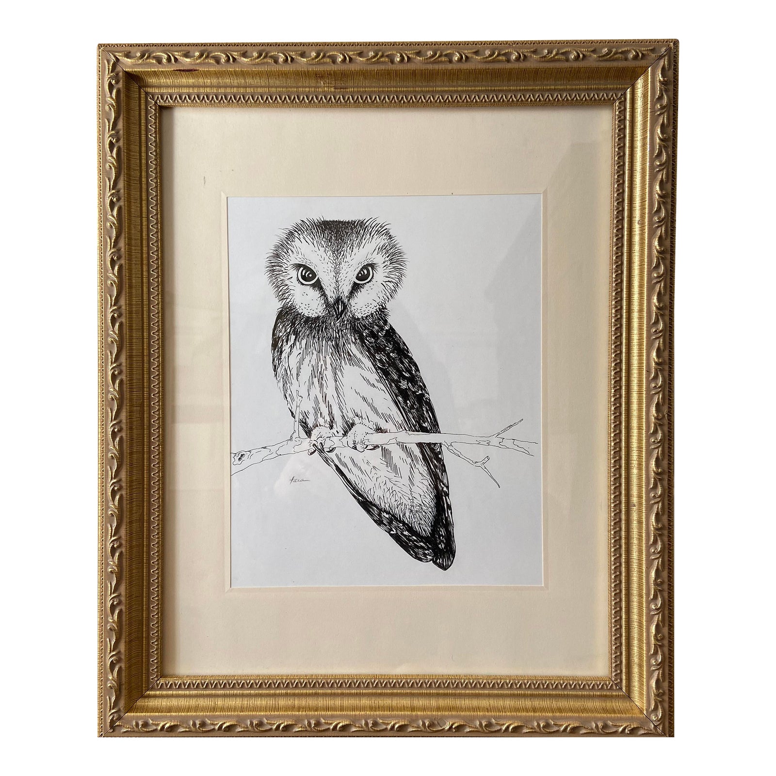 Messenger Owl - Framed Original Drawing | Chairish