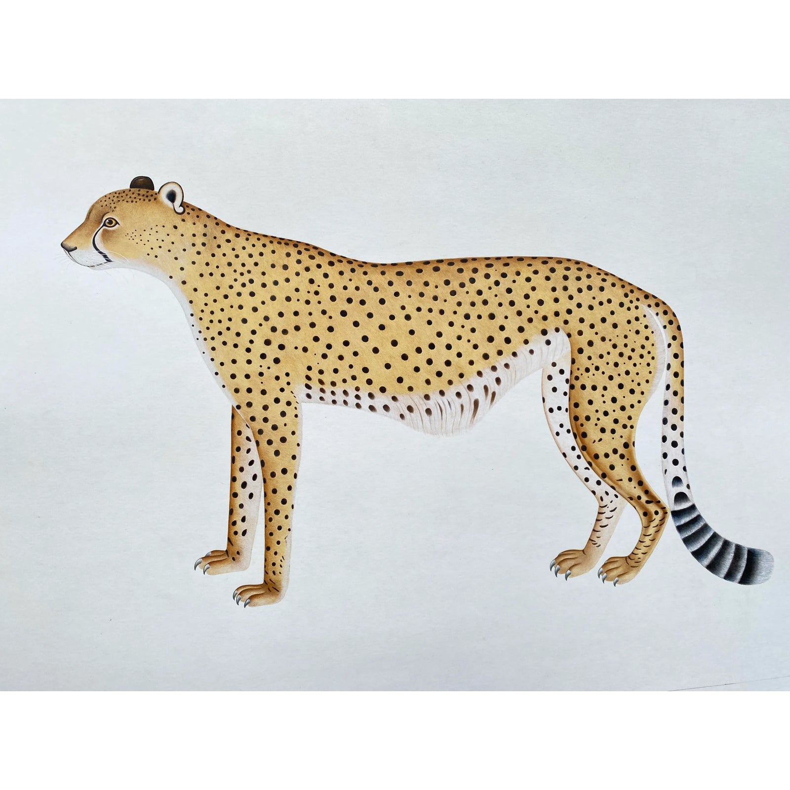 Cheetah Artwork, Remastered Cheetah Indian Miniature Original Painting ...