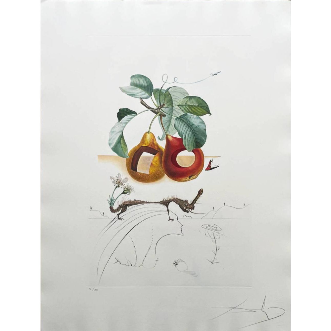 Salvador Dali, Holed Fruit from Flordali Suite, 1969, Lithograph with ...
