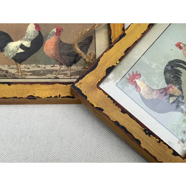 Late 20th Century Pair of Rustic Still Life Chicken Prints | Chairish