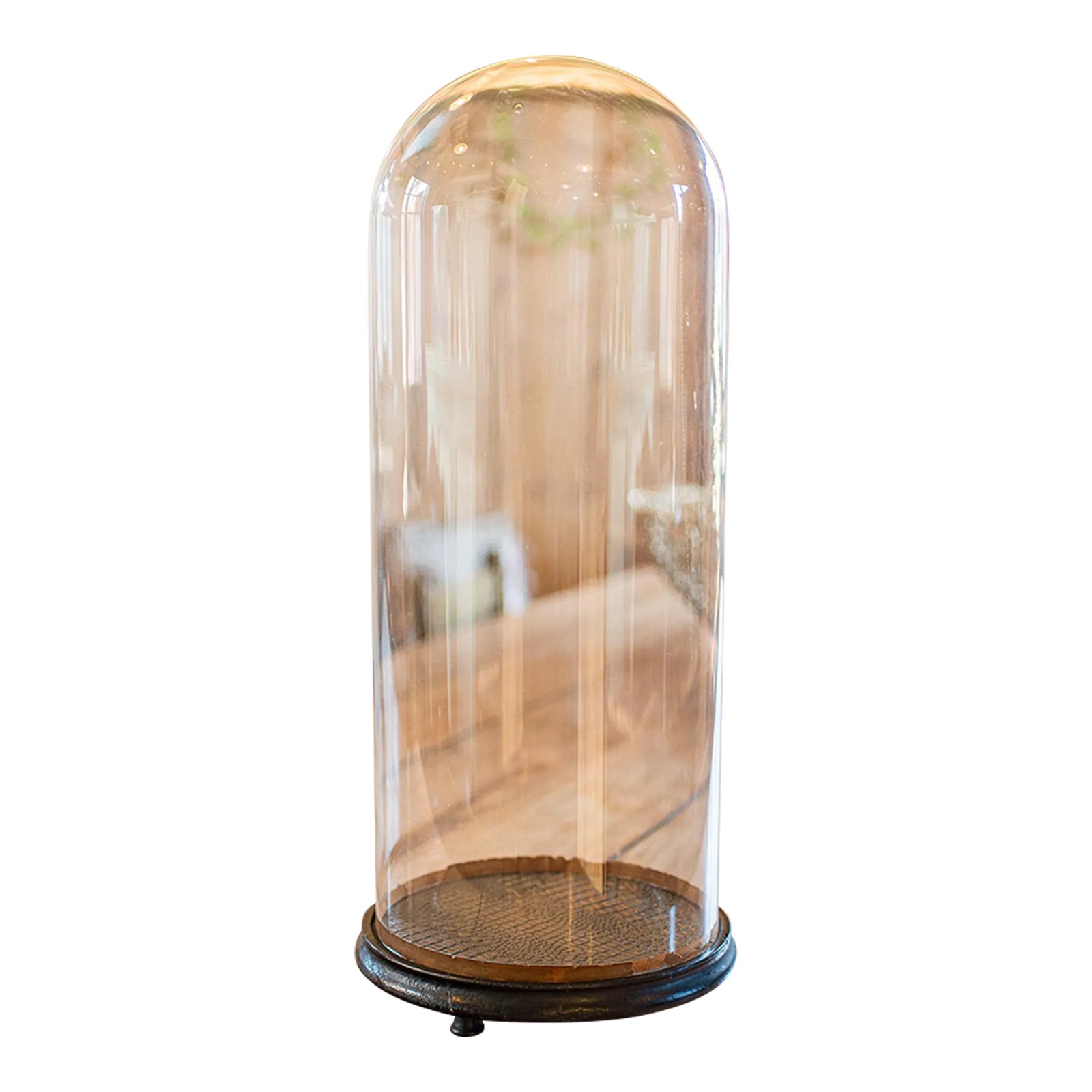 1900's Tall Victorian Antique Specimen Showcase | Chairish