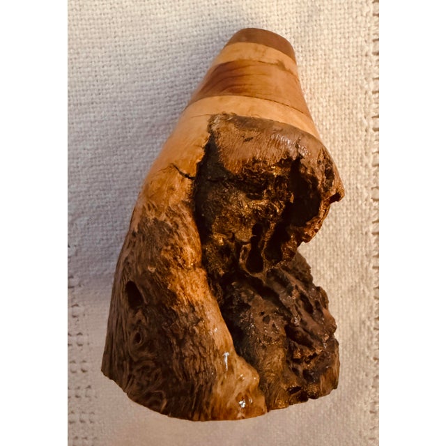 Hand-Crafted Mixed Wood & Burl "Weed Pot" Studio Art Vase | Chairish