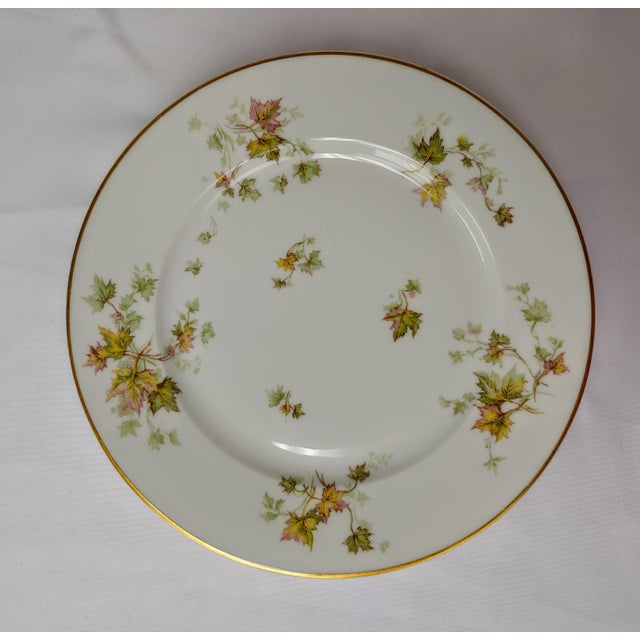 Vintage Haviland's Autumn Leaf Pattern Dinner Plates, Set of 6 | Chairish