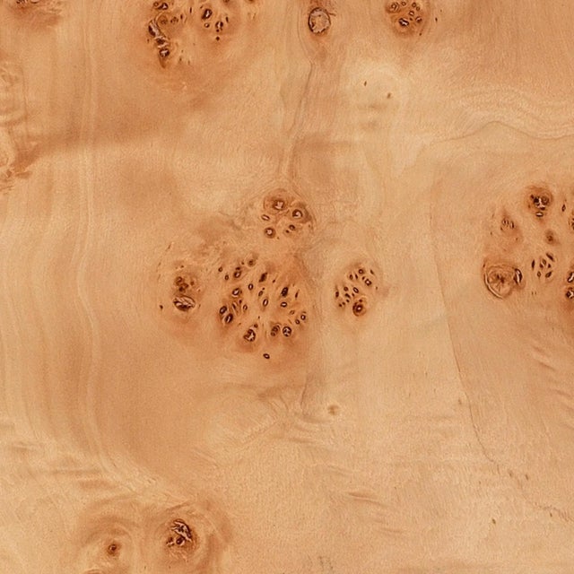 Parallel Burl Wood & Acrylic Floor Lamp | Chairish