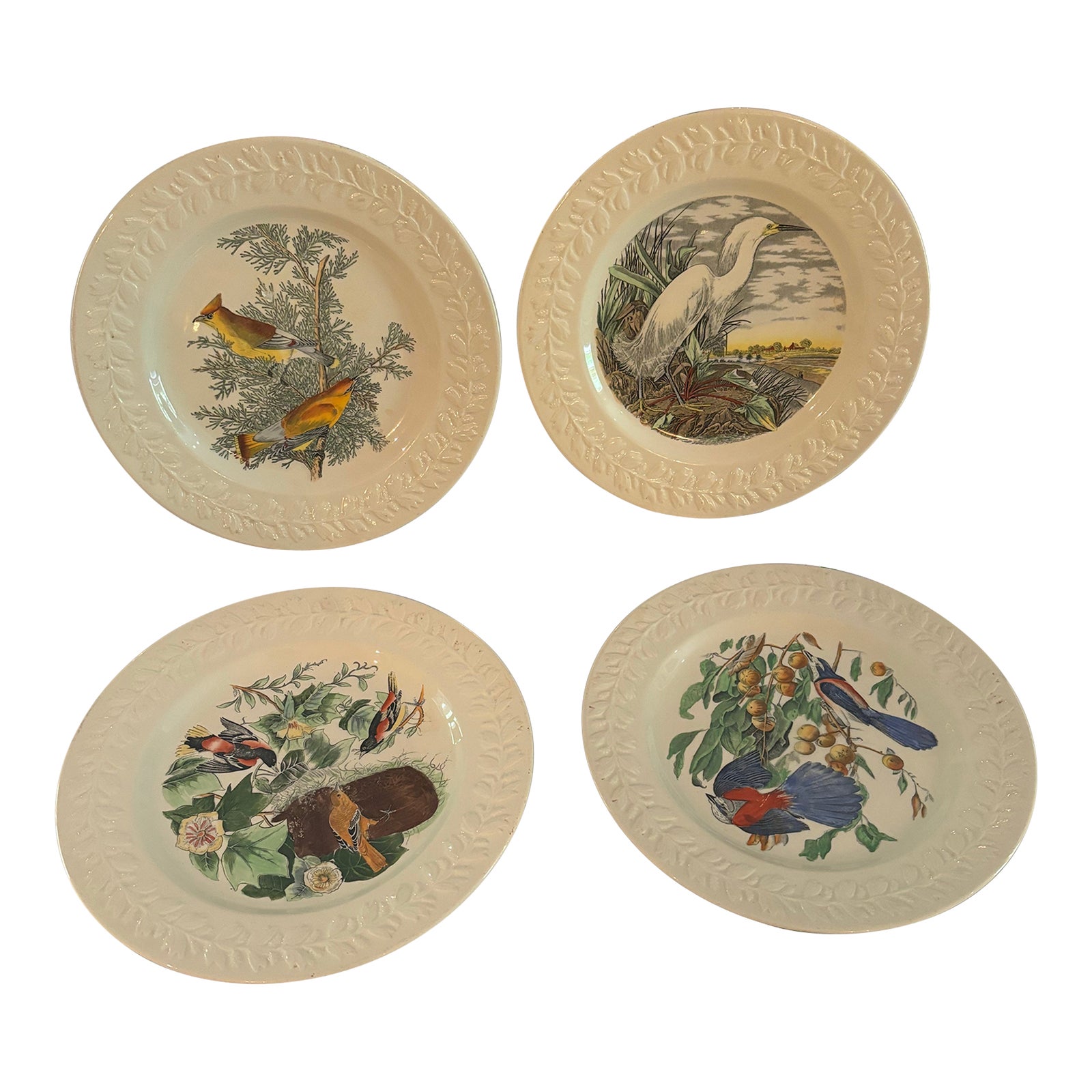 Early 1900s John James Adams Audubon Plates- Set of 4 | Chairish