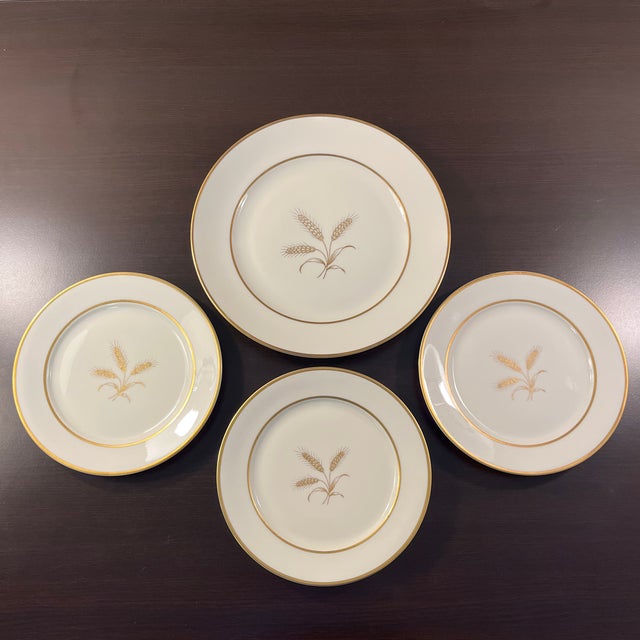 1960s Rosenthal (Germany) Bountiful Continental Dinnerware Set- 20 Pieces | Chairish
