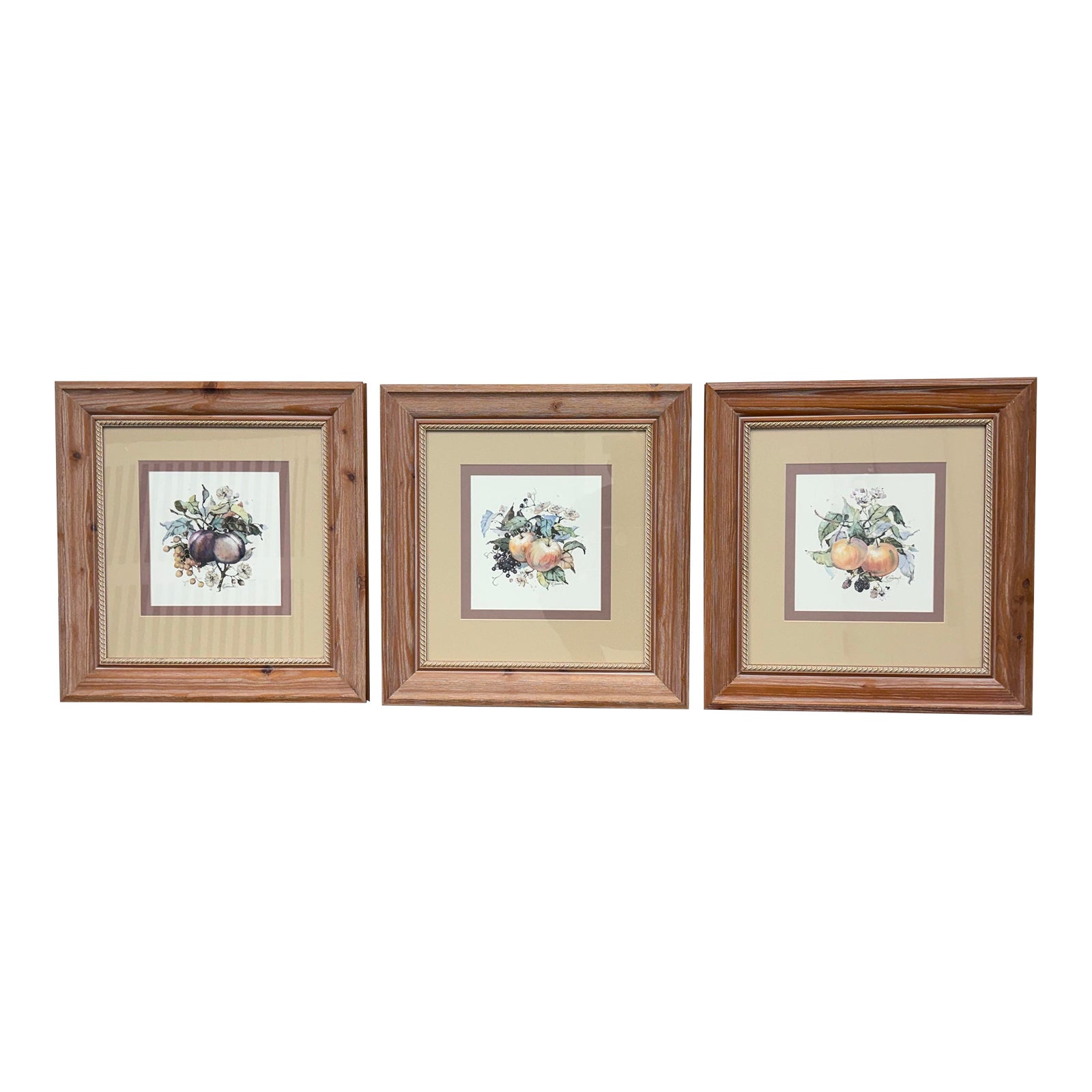 Marilyn Simandle Fruit Prints, Set of Three | Chairish