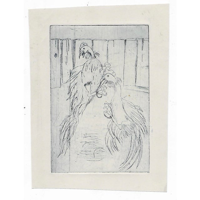 1950s Alexandra Merker Gamecock Etching | Chairish