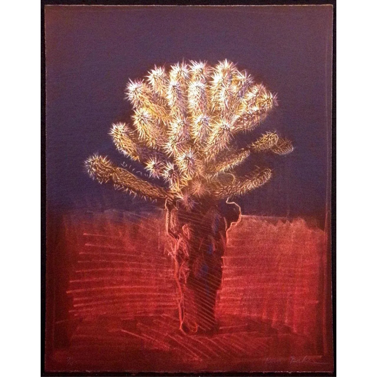 Kim Baker "Single Cholla" Desert Cactus Signed & Numbered Lithograph ...