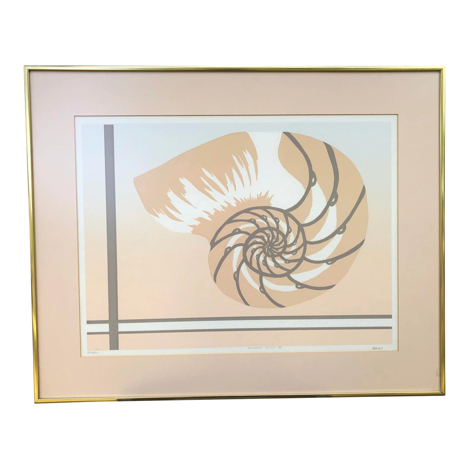 Chambered Nautilus Shell Lithograph Signed by Artist | Chairish
