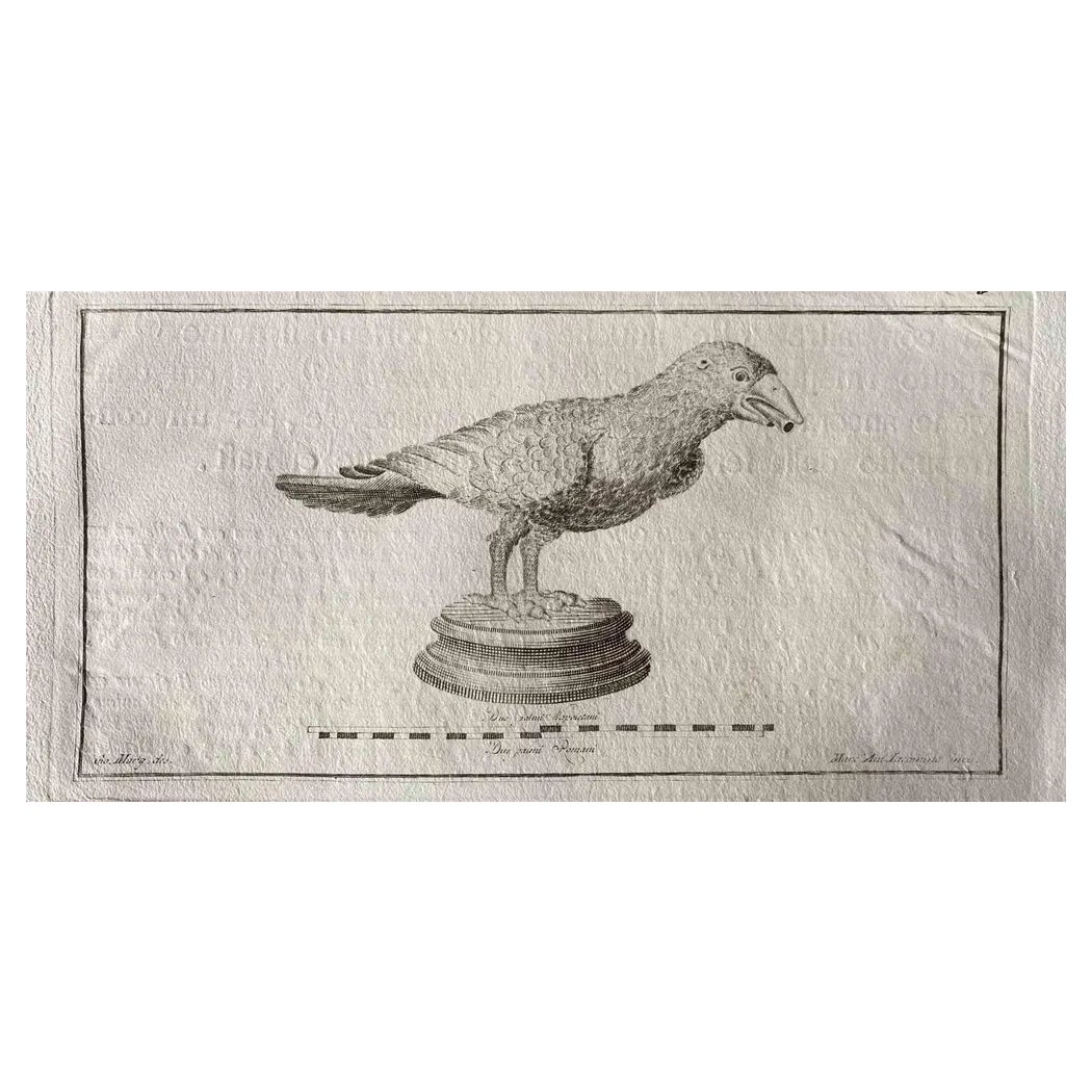 Various Old Masters, Animal Figures from Ancient Rome, Original Etching ...