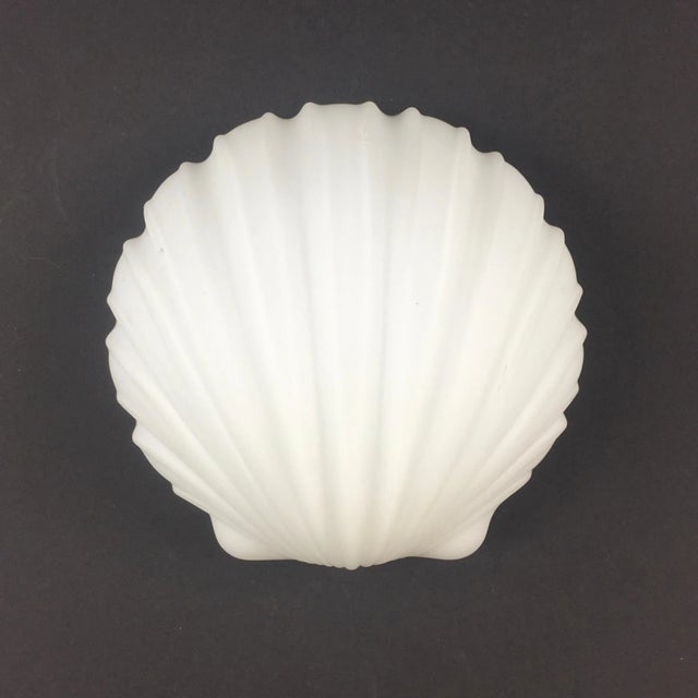 Minimalist Opaline Glass Shell-Shaped Wall Lights/Sconces From Limburg ...