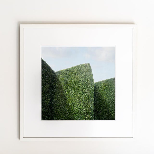 "Serrated" Contemporary Landscape Photograph by Carol Erb | Chairish