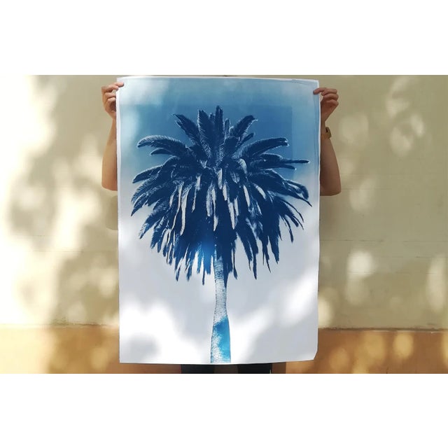 100x70cm, Colossal Greek Marble Amphitheater Blueprint, Cyanotype Hand ...