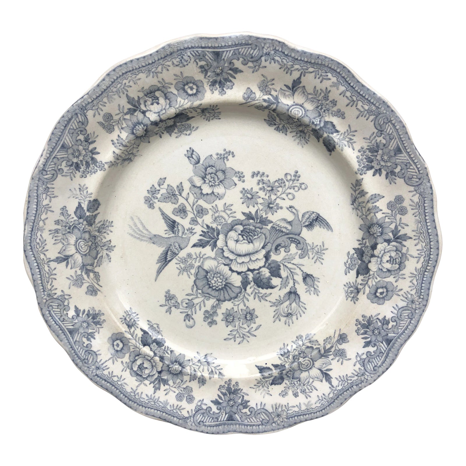 Mid 1800's English Asiatic Pheasant Dinner Plate | Chairish