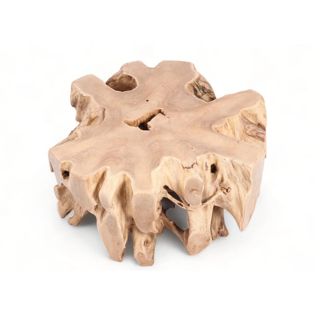Round Teak Root Coffee Table 19 | Chairish