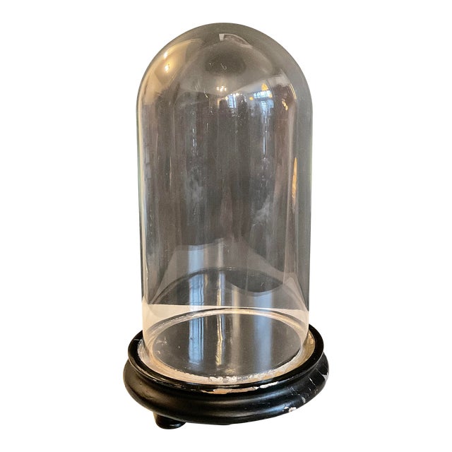 Antique Hand Blown Glass Cloche Dome on Grooved Base | Chairish