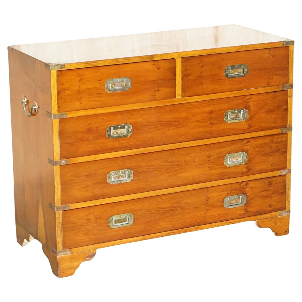 Vintage Military Campaign Chest of Drawers in Burr Yew Wood | Chairish