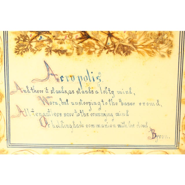 19th Century Watercolor & Herbarium Drawing of Acropolis & Calligraphy ...