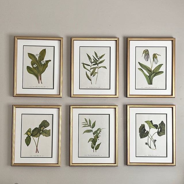 Framed Botanical Prints -Set of 6-1978 Wild Flower Prints | Chairish