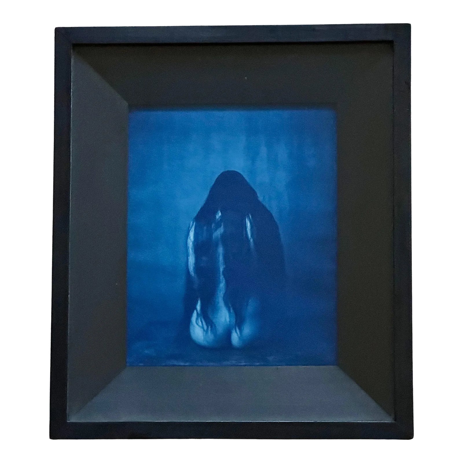 Framed Cyanotype Photograph by John Patrick Dugdale | Chairish