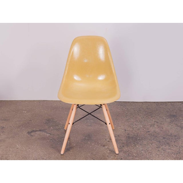 Eames for Herman Miller Ochre Yellow Shell Chair | Chairish