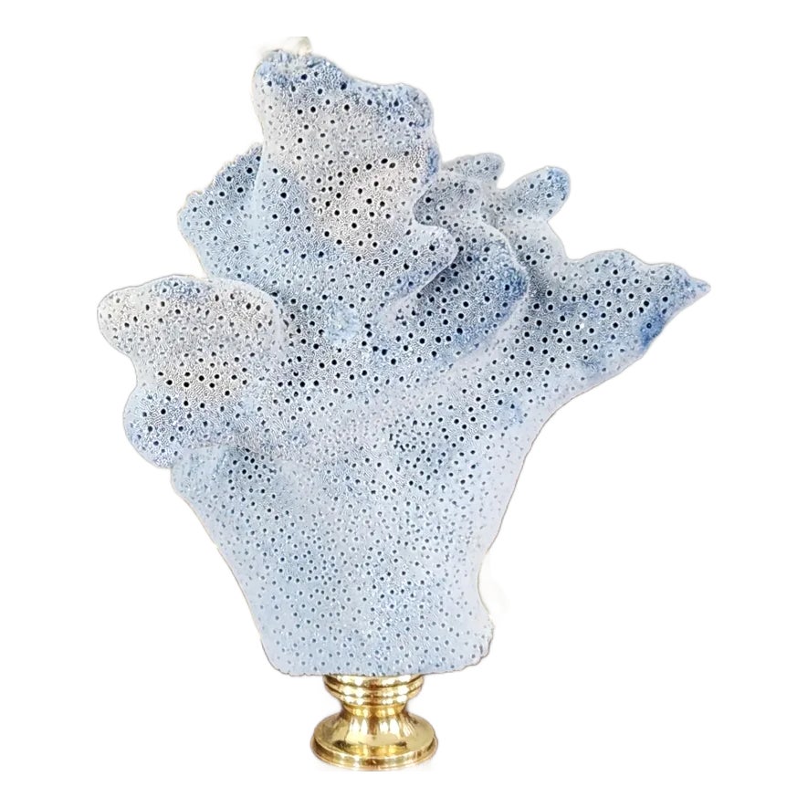 Blue Coral Lamp Finial, Beach House Coastal Decor | Chairish
