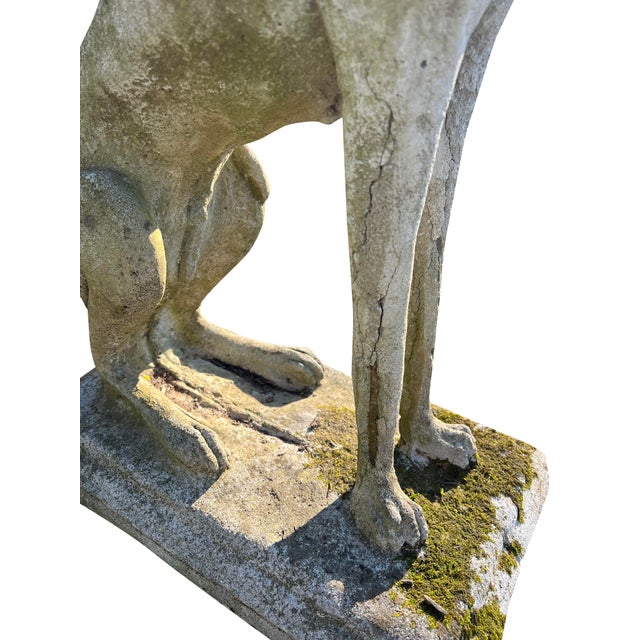 Antique Concrete Greyhound or Whippet Dog Outdoor Statue | Chairish