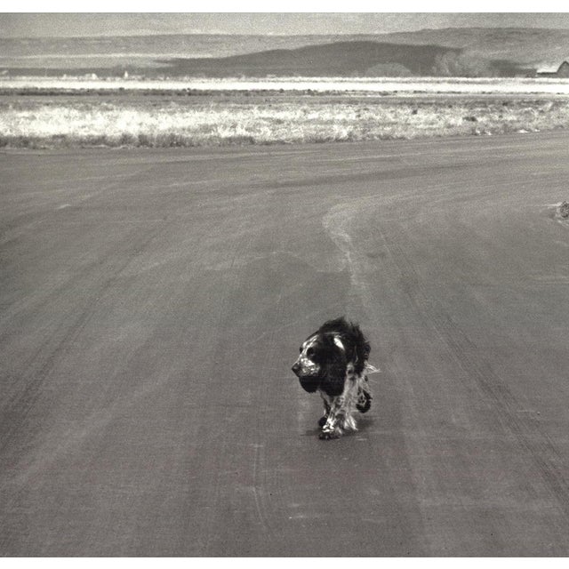 1990 Burton Berinsky 'Robert Kennedy' Photography USA Offset Lithograph ...