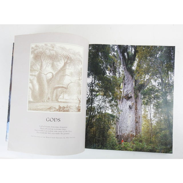 Remarkable Trees of the World Book | Chairish