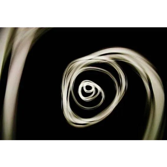 Robert Bengtson 1/1 “The Watts Collection” Photograph, 2009 | Chairish