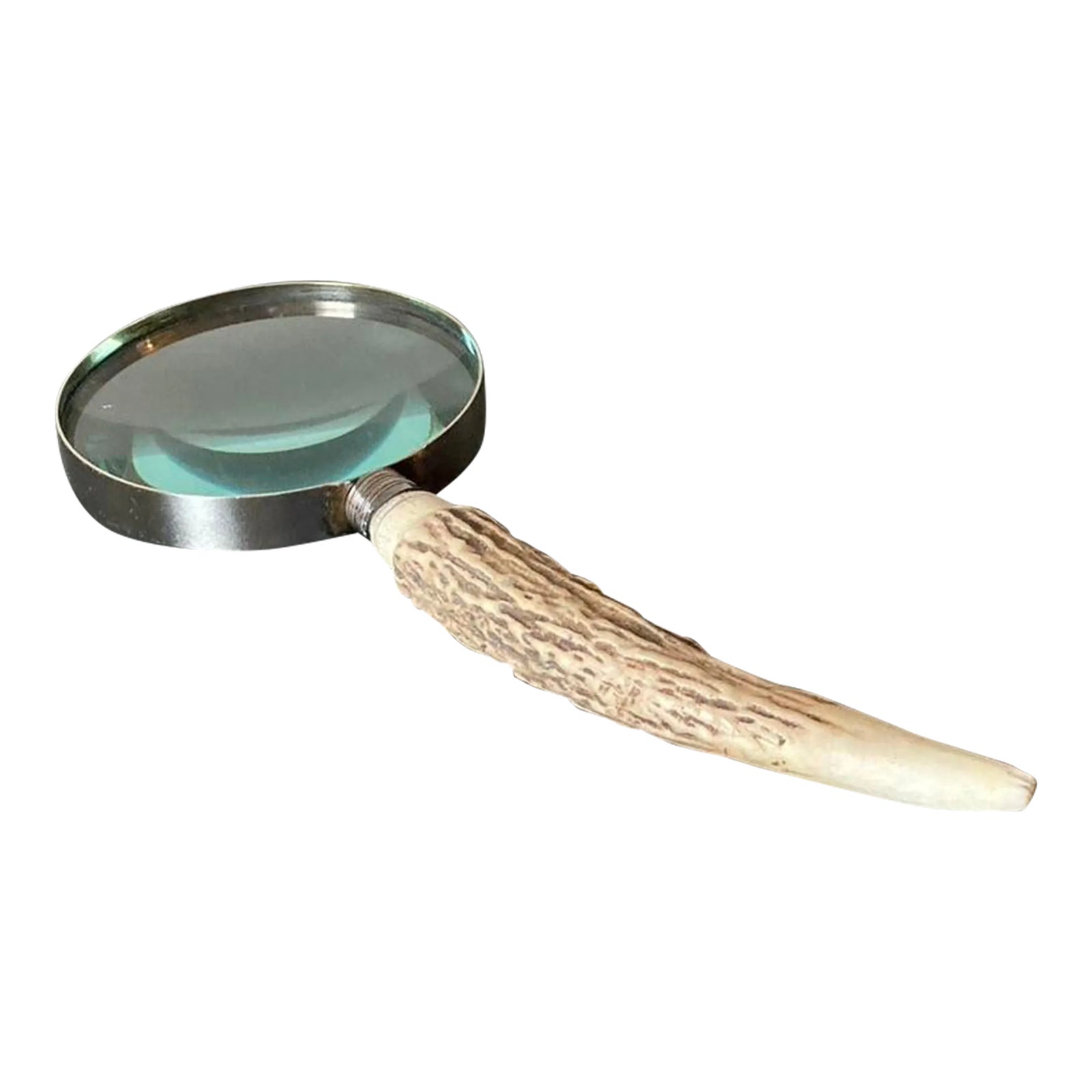 19th Century Antique English Magnifying Glass With Silver Rim and Horn ...