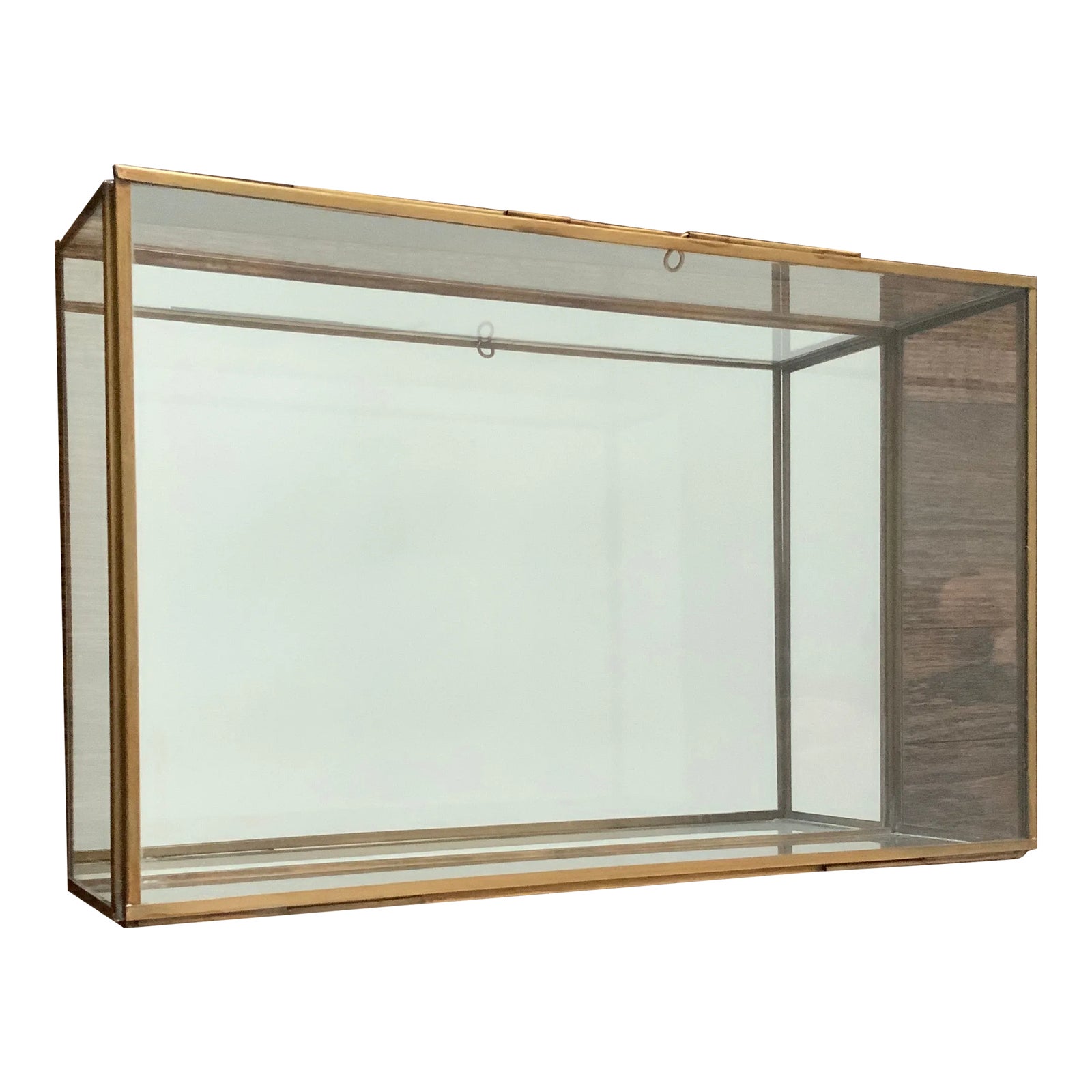 Glass & Brass Display Case With Mirrored Back From Crate & Barrel ...