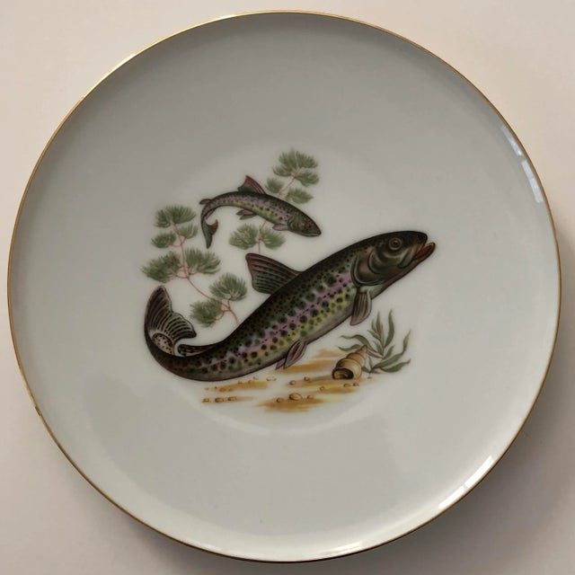 1930s Pre-Ww2 Decorative Fine Porcelain Fish Plates, Bavaria, Germany ...