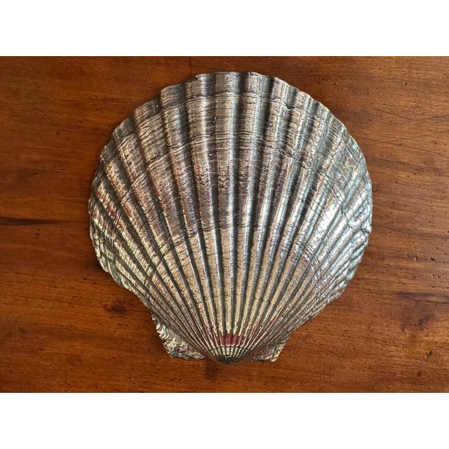 Silver Dipped Cockle Scallop Sea Shell | Chairish