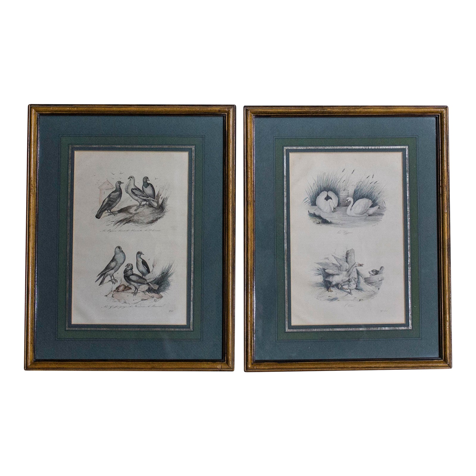 19th Century French Hand Colored Lithographs - Victor Adam | Chairish