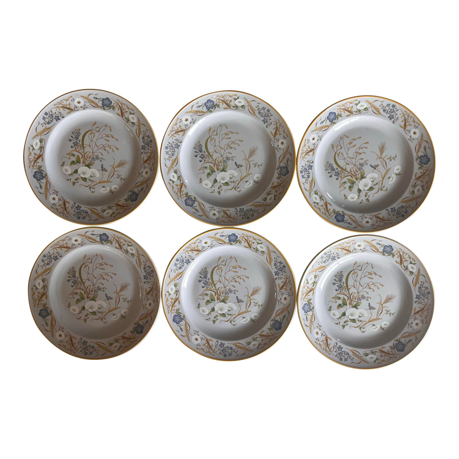 Spode Summer Harvest Salad Plates - Set of 6 | Chairish