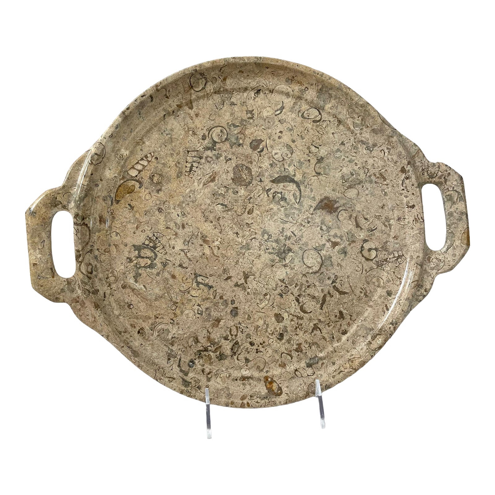 Vintage Fossilized Spiral Shell Stone Serving Cheese Dish | Chairish